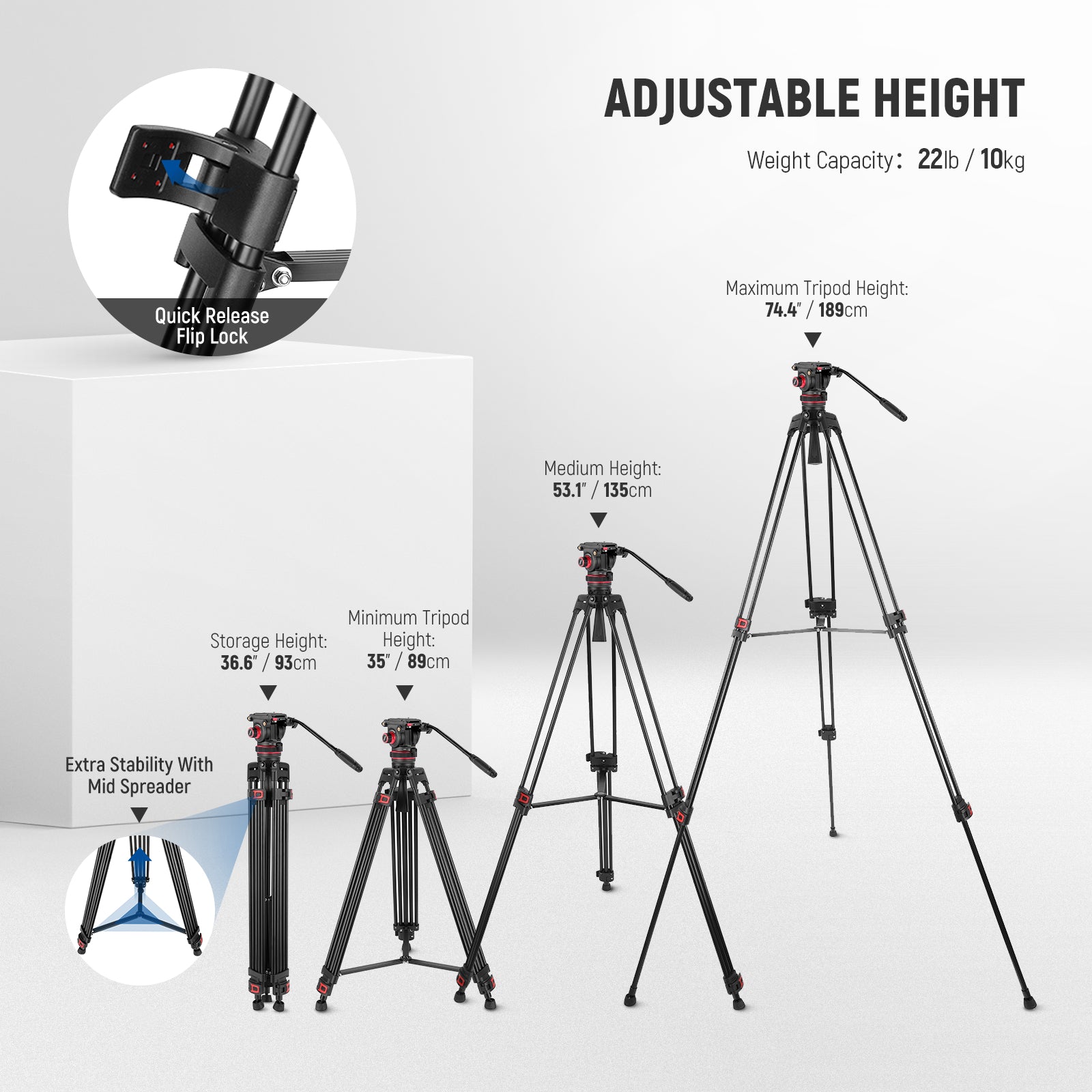 Tripods – NEEWER.CA